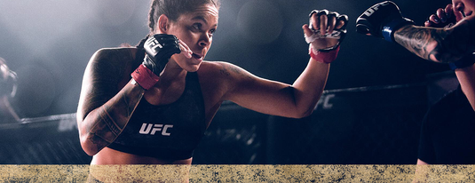 Features & Promotions | Casa Modelo Mexican Beer